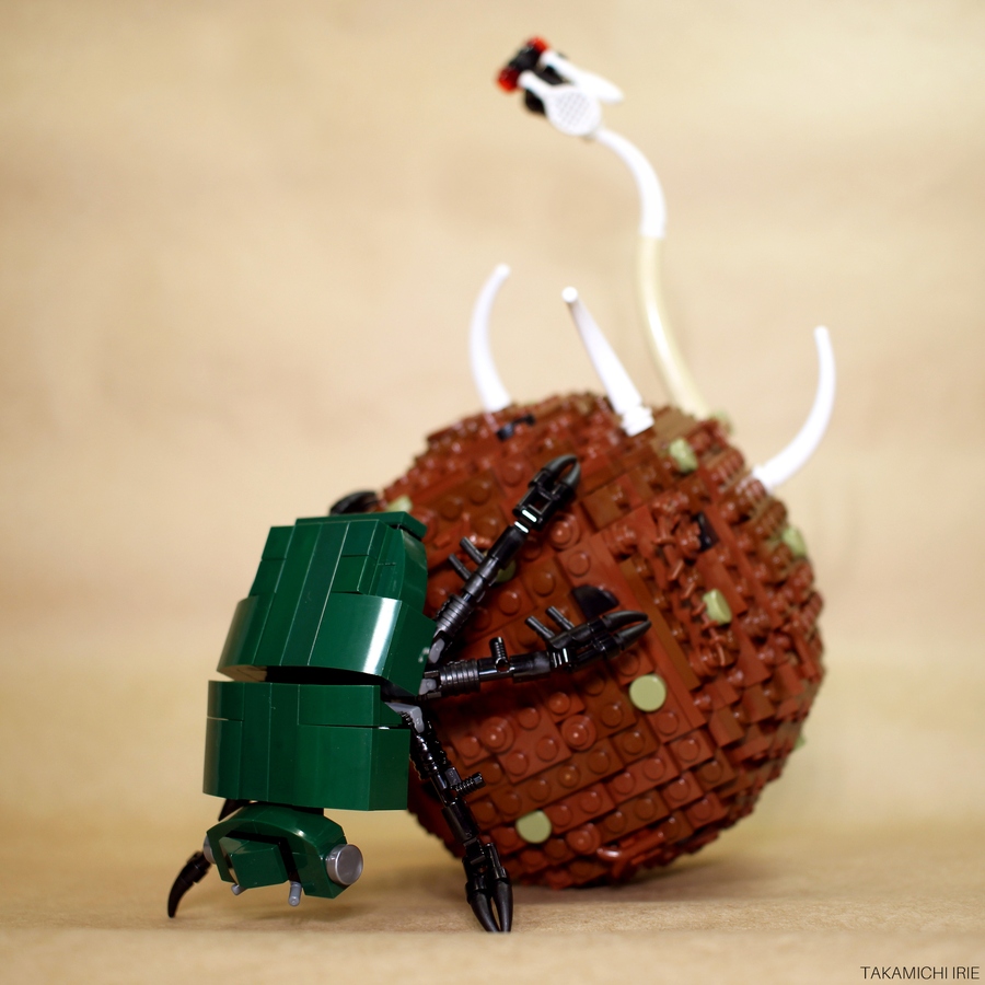 LEGO IDEAS LEGO Insects Project