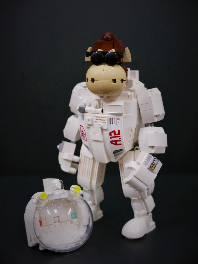 LEGO IDEAS - Product Ideas - Space Monkey