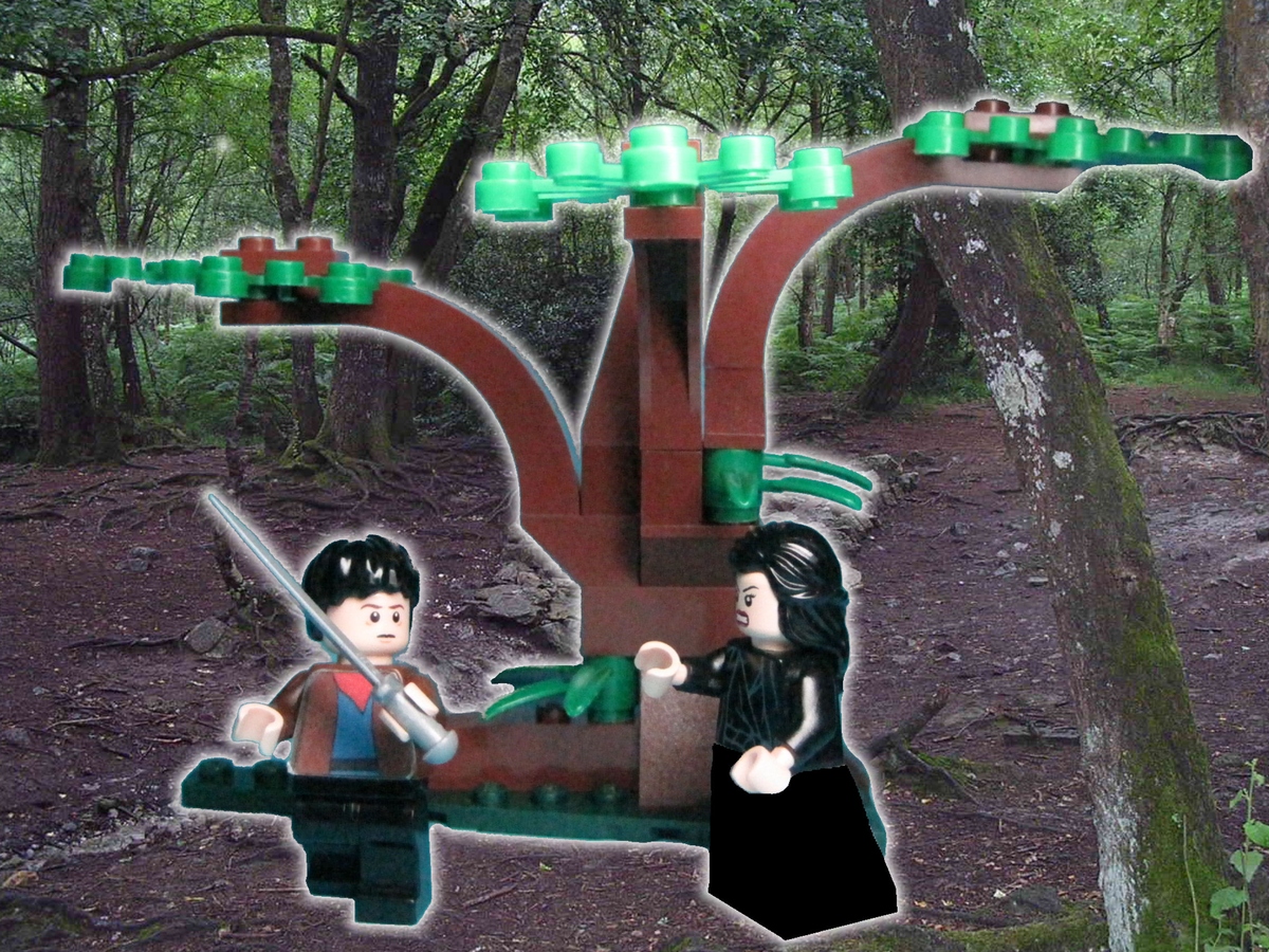 LEGO IDEAS - Product Ideas - Merlin: The Final Encounter