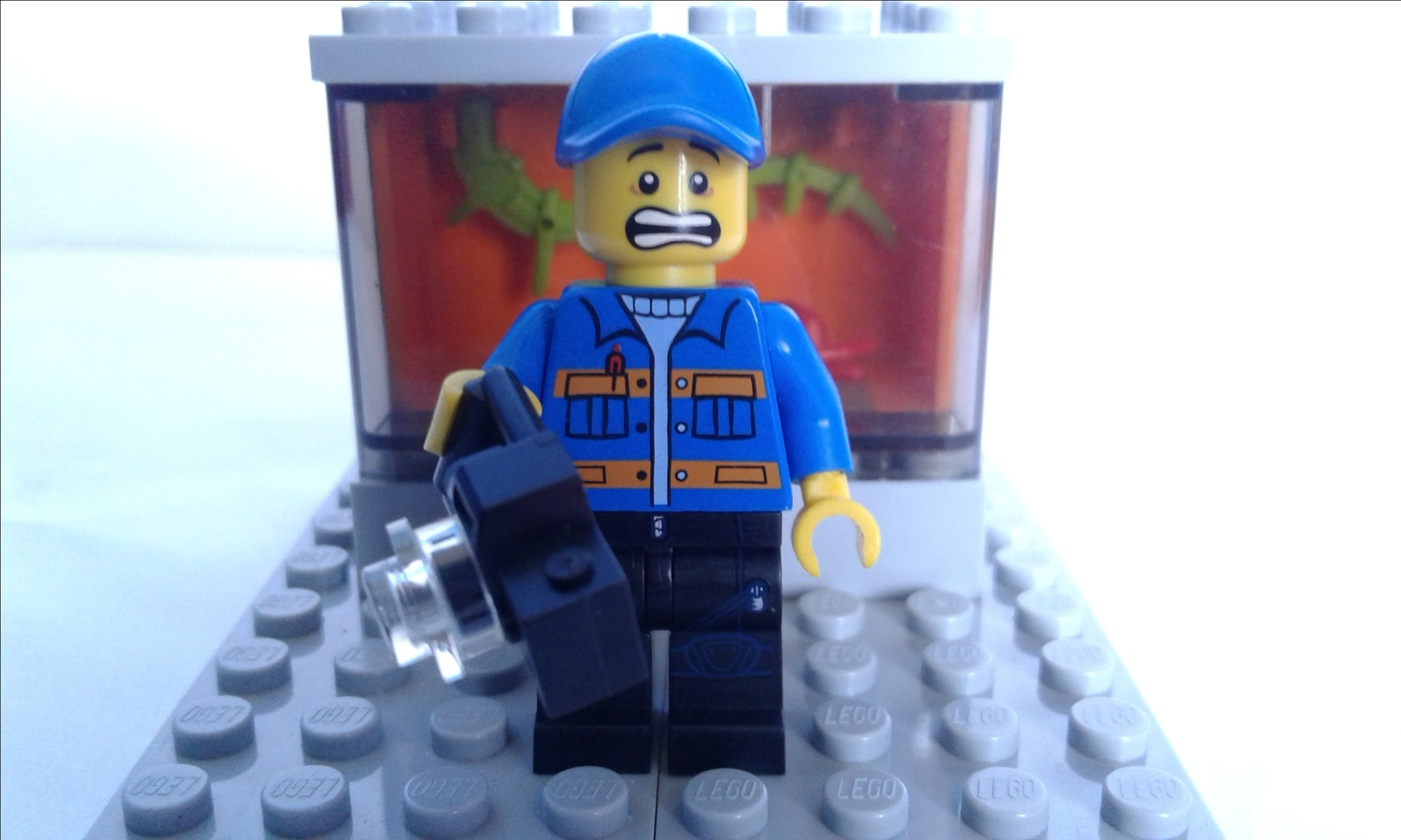 LEGO IDEAS - Product Ideas - Creepy Crawler Enclosure