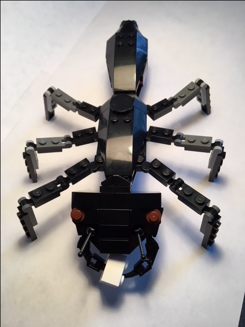 LEGO IDEAS - Product Ideas - Wandering Ant