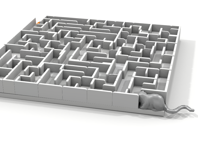 LEGO IDEAS - Product Ideas - Amazing Rat Maze!