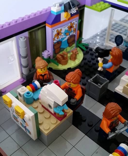 LEGO IDEAS - Product Ideas - The Disability People’s Factory