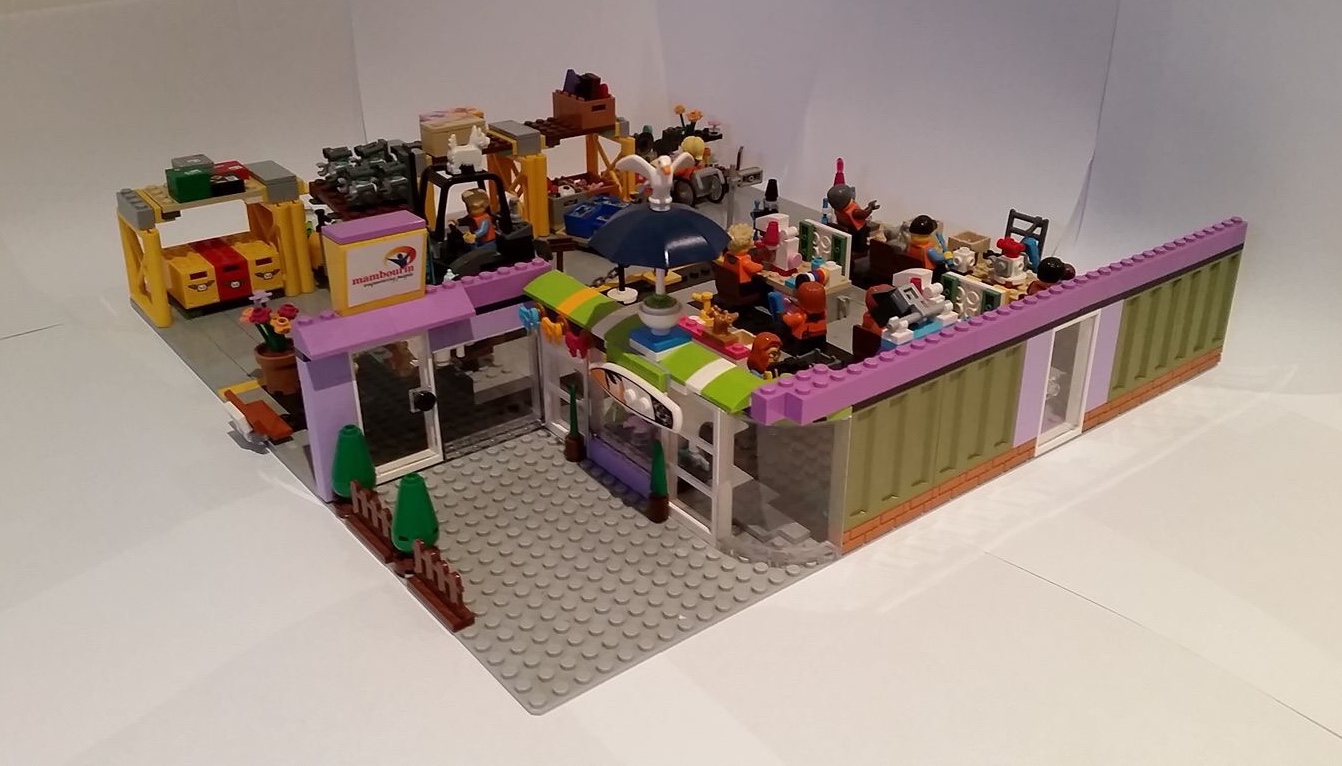 LEGO IDEAS - Product Ideas - The Disability People’s Factory