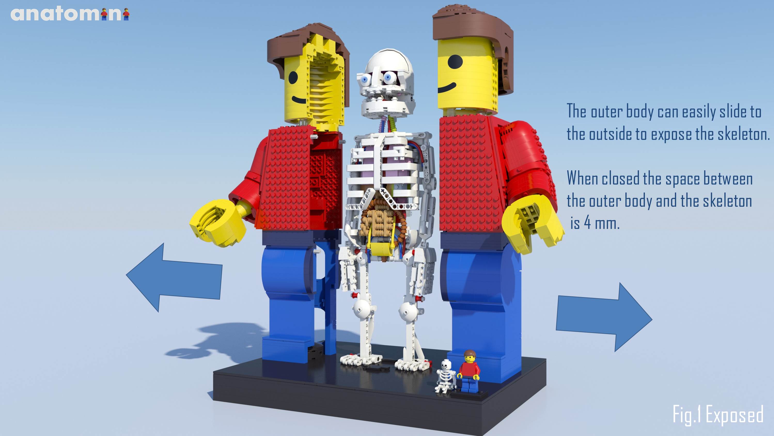 Brickheadz Anatomy Cutaway : r/lego