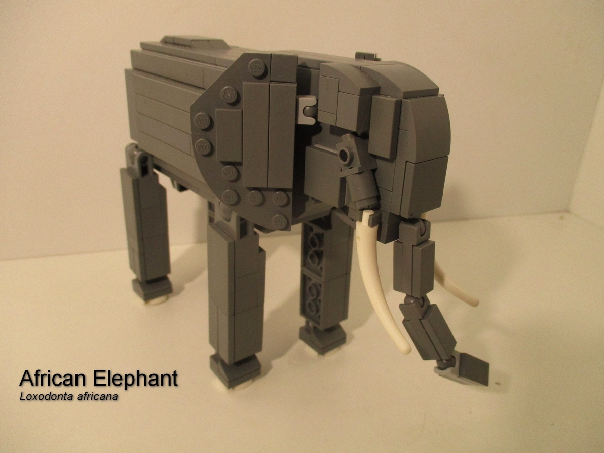 LEGO IDEAS - Product Ideas - The Big Five of Africa