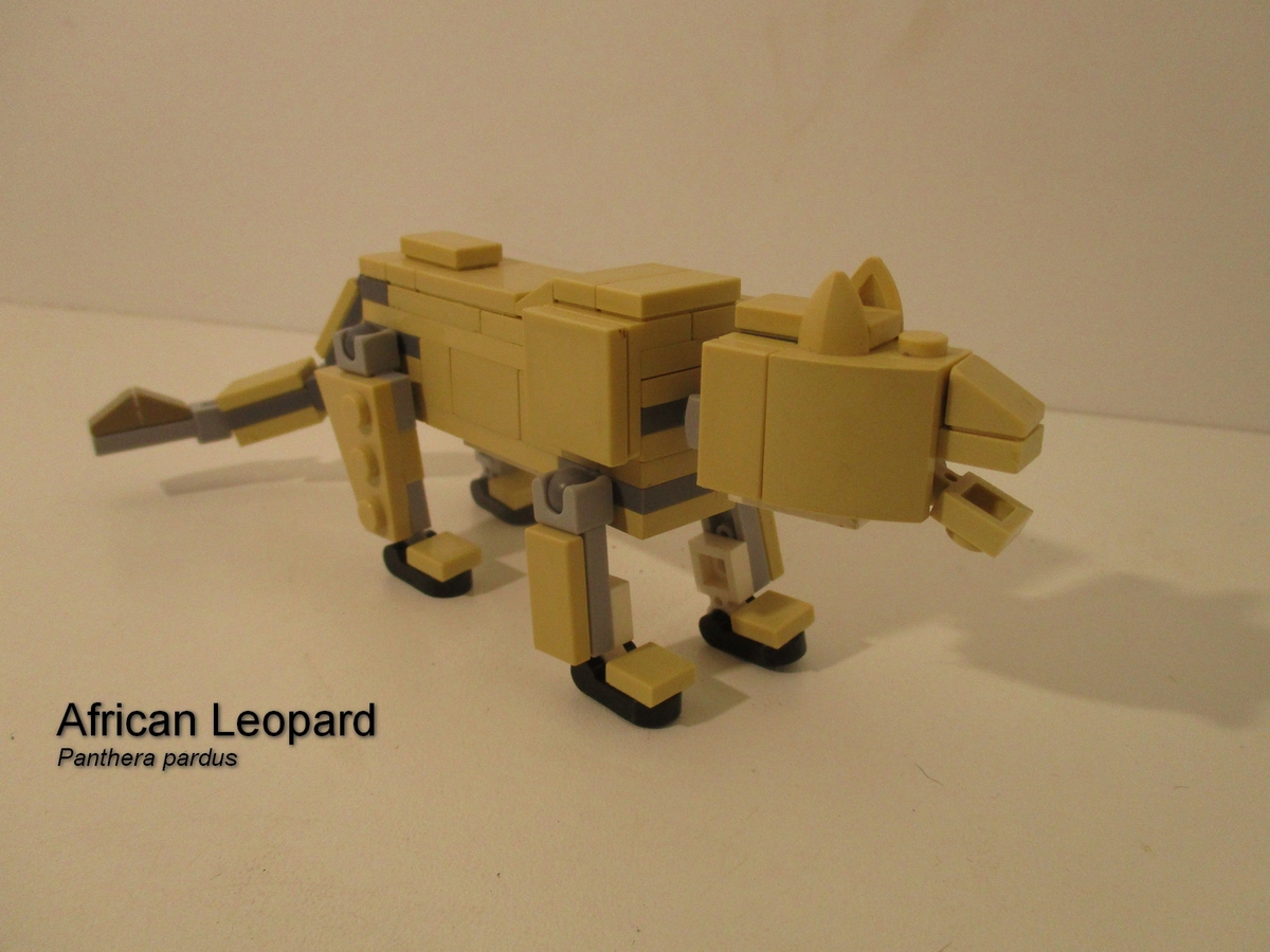 LEGO IDEAS - Product Ideas - The Big Five of Africa