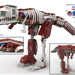 LEGO IDEAS - Product Ideas - Anatomy T-Rex