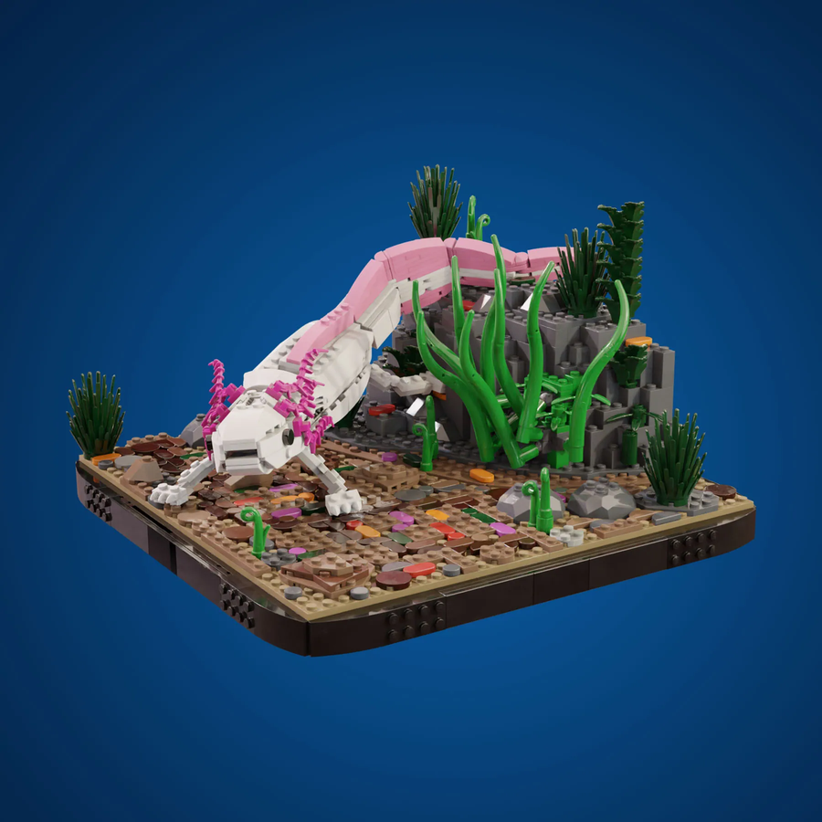 LEGO IDEAS - Celebrate the wonder of STEM! - Case Study: The Axolotl