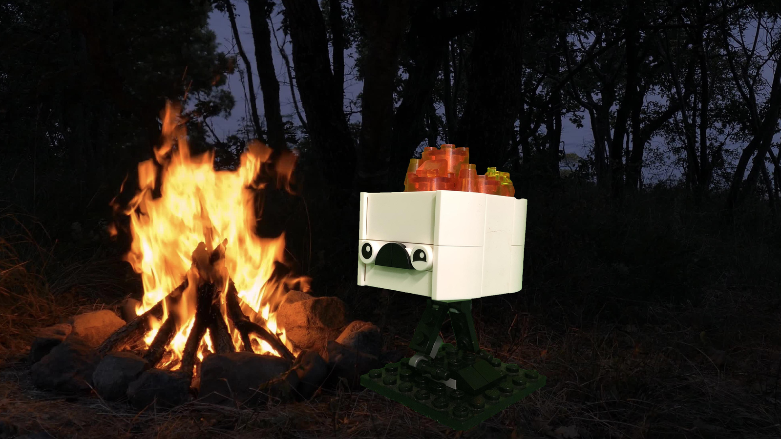 LEGO IDEAS - Your build in the world-famous LEGO House! - Nature ...