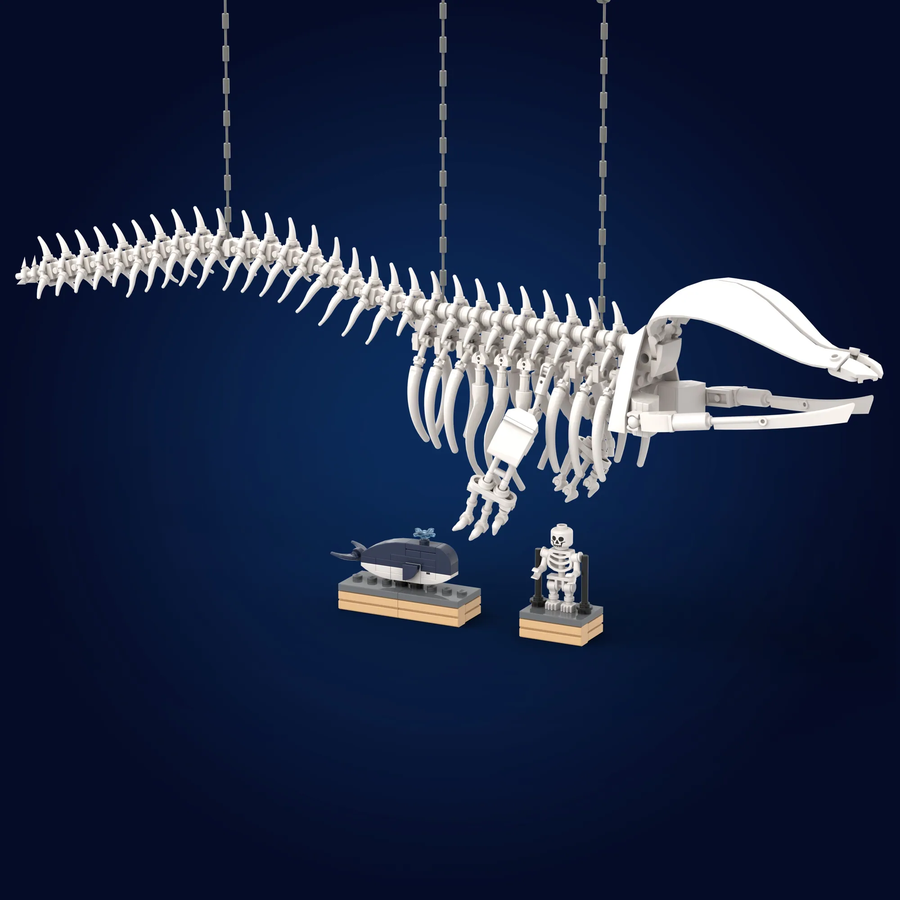 LEGO IDEAS - Create your own Exhibition - Blue Whale Skeleton