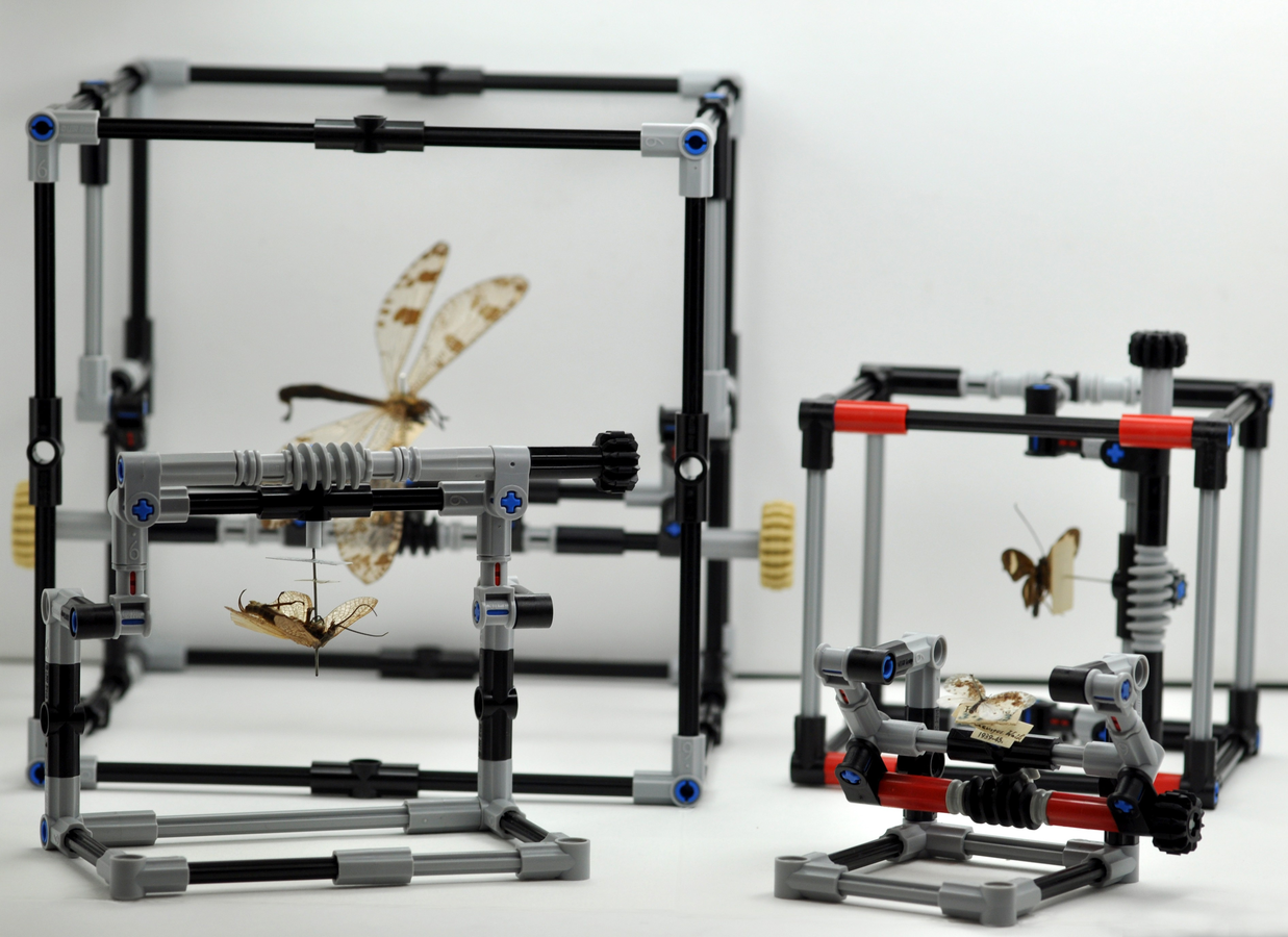 LEGO IDEAS - LEGO IMp