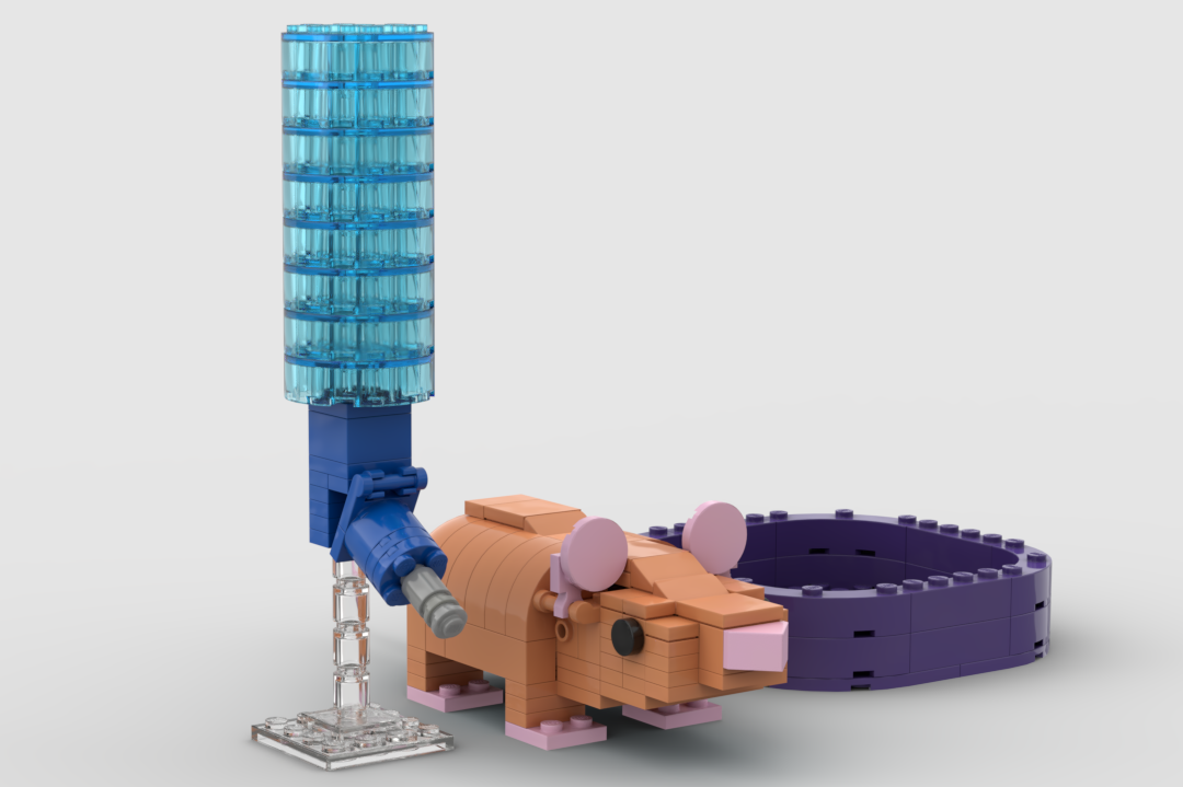 LEGO IDEAS - Pet Mouse + Accessories