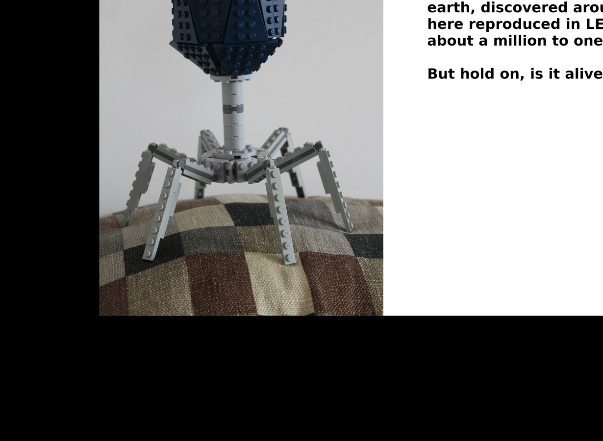 How To Build A Bacteriophage Model