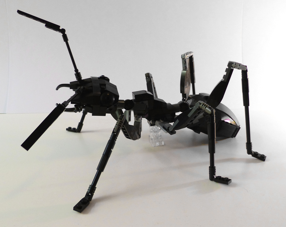LEGO IDEAS - Ant