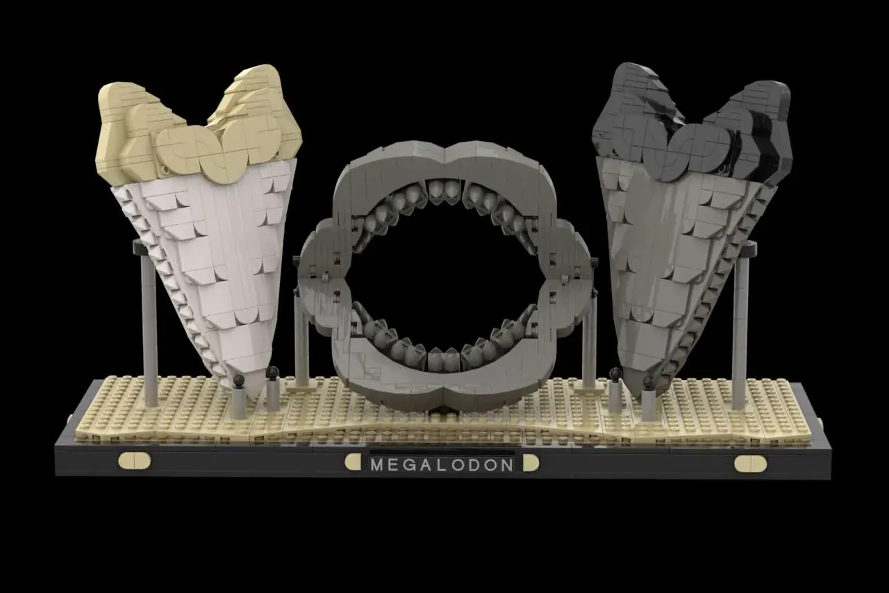 LEGO IDEAS - Megalodon Tooth Display