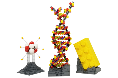 LEGO IDEAS - Product Ideas - The Human Body