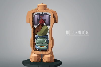 LEGO IDEAS - Help Decorate the LEGO House! - Nature: Omicron Centipede