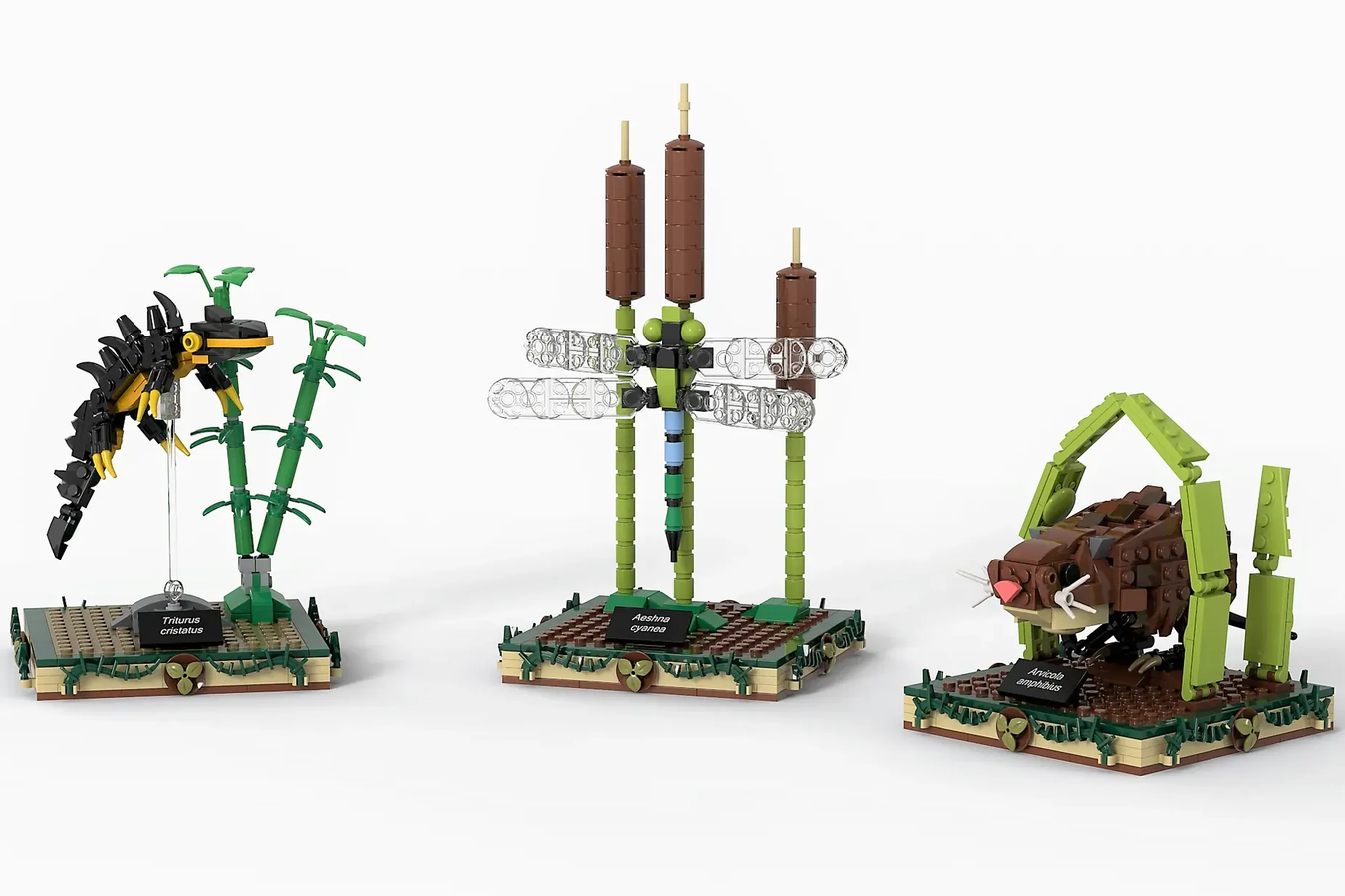 LEGO IDEAS - Pond Life