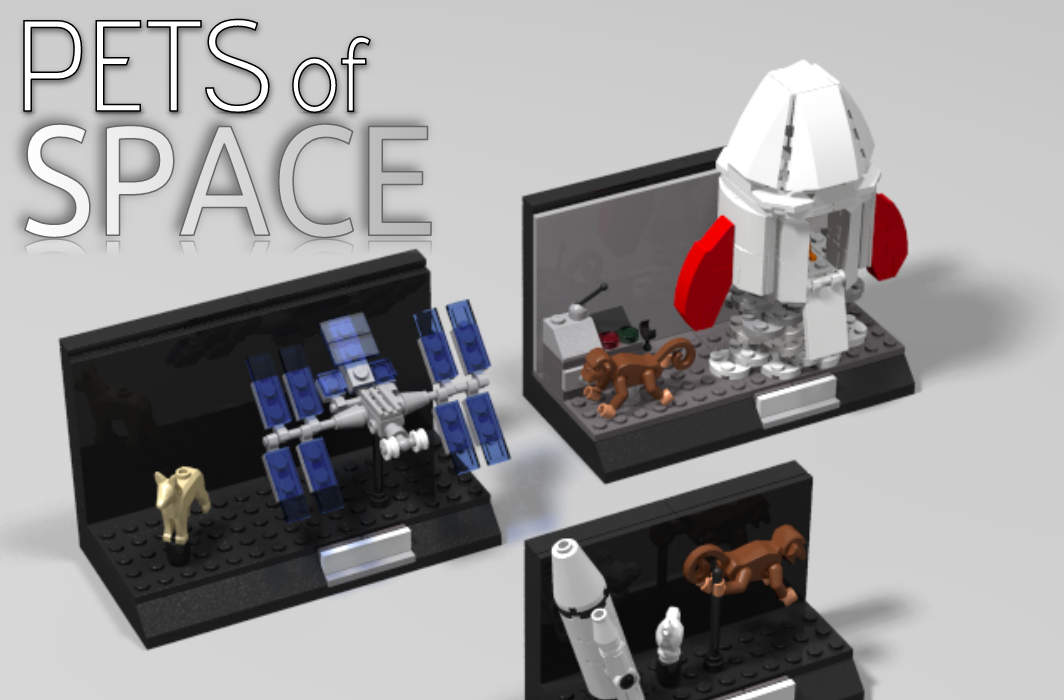 LEGO IDEAS - Pets of Space