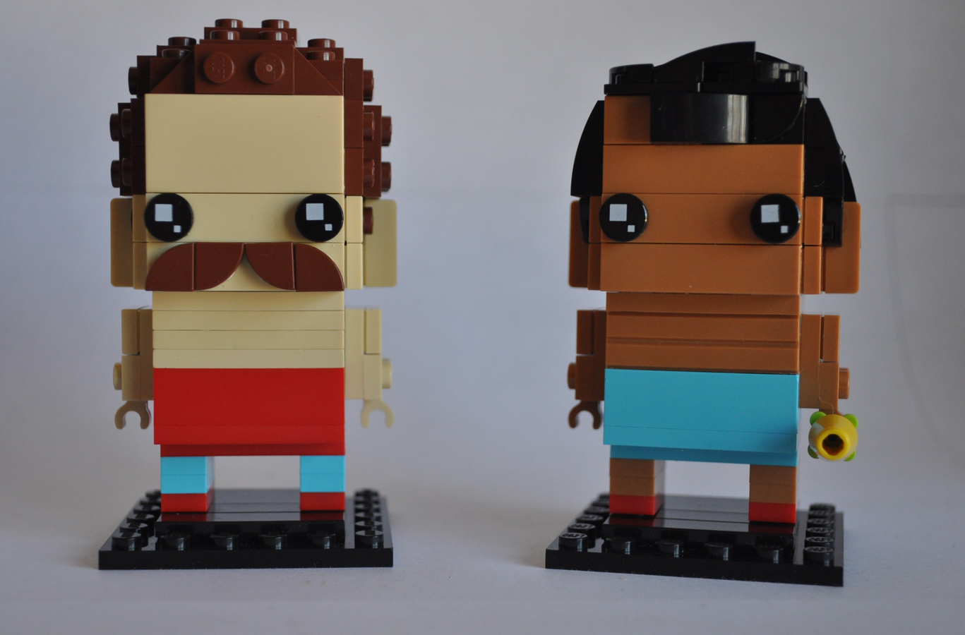 LEGO IDEAS - Nacho & Steven