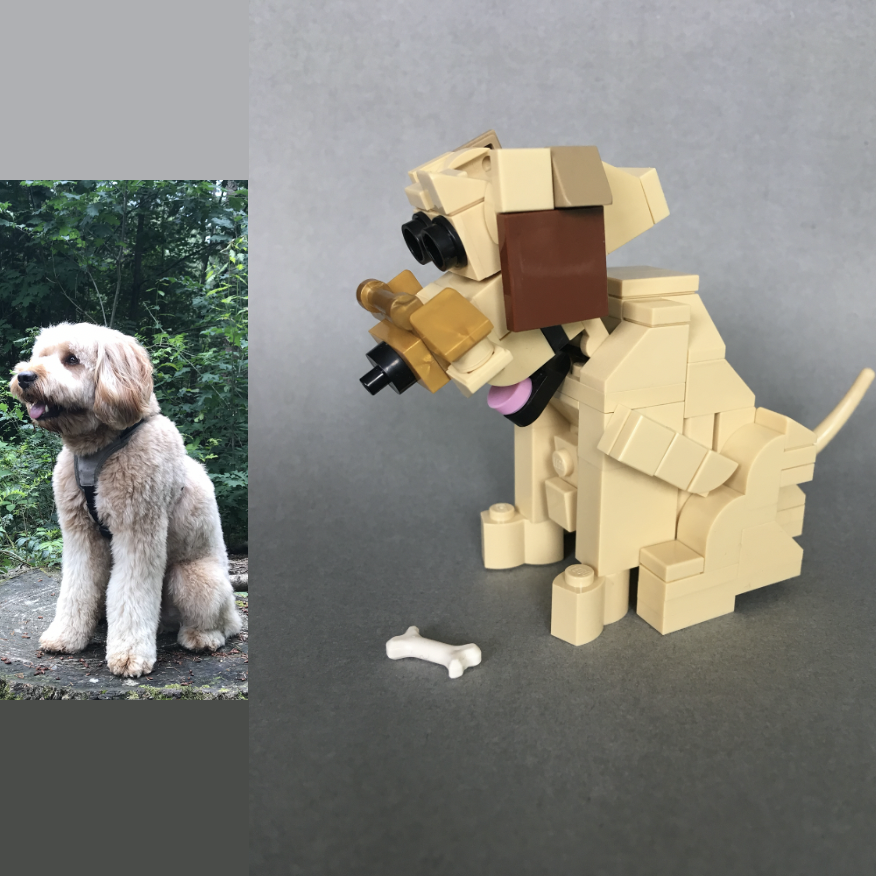 LEGO IDEAS - Copy, paste! - Ginger the Labradoodle in Bricks!