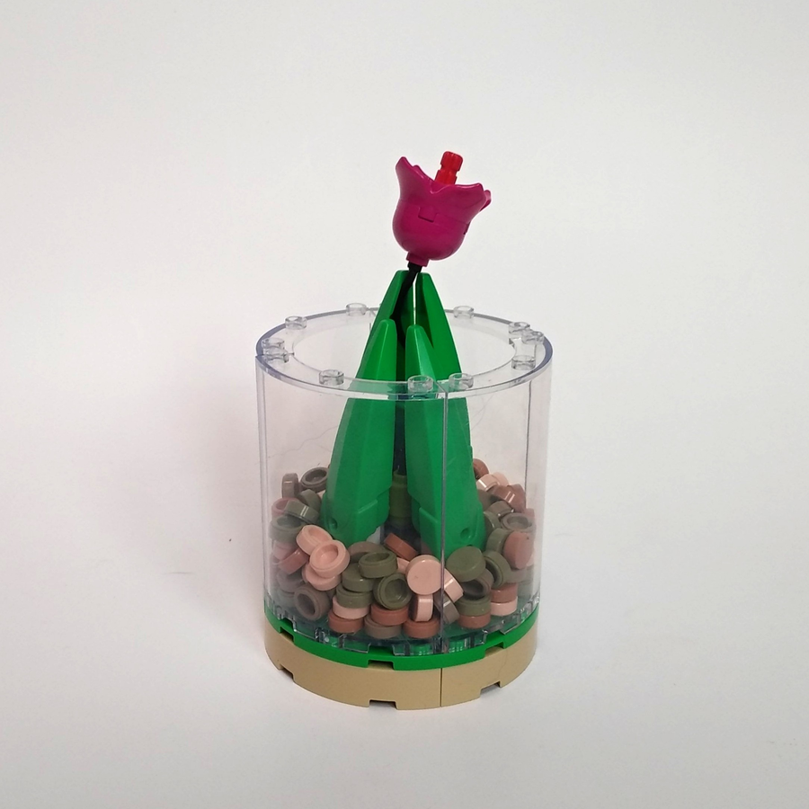 LEGO IDEAS - Spring is here! - What Is Blooming Here?