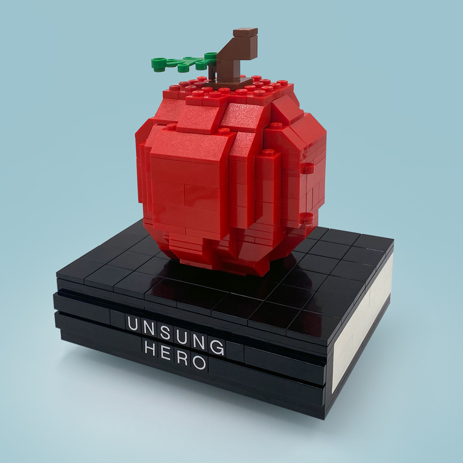LEGO IDEAS - Build to Win - Unsung Hero Award