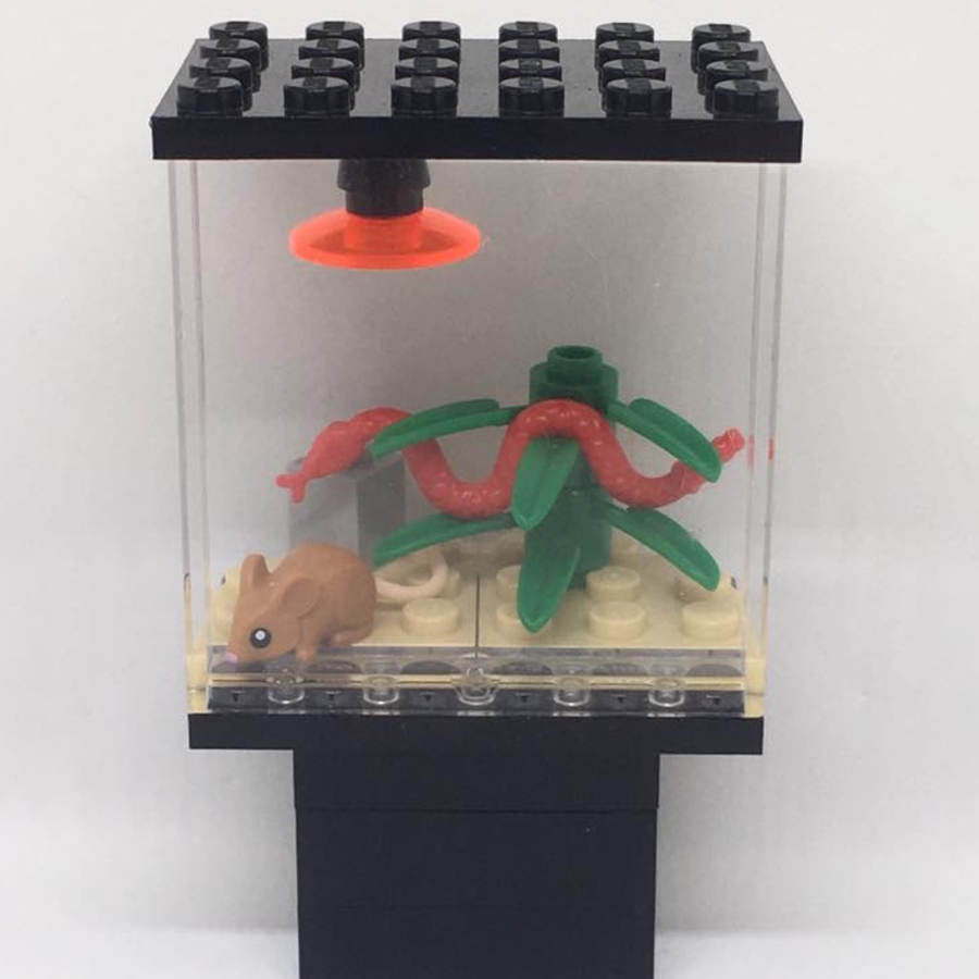 LEGO IDEAS - 20 Bricks Beauties! - Feeding Time
