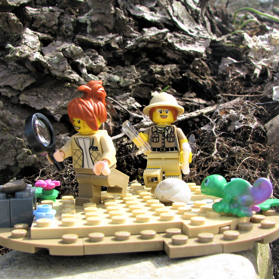 LEGO IDEAS - A Spring in your step! - Springtime Explorer