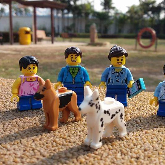 LEGO IDEAS - Active Minifigures - Walk the Dogs
