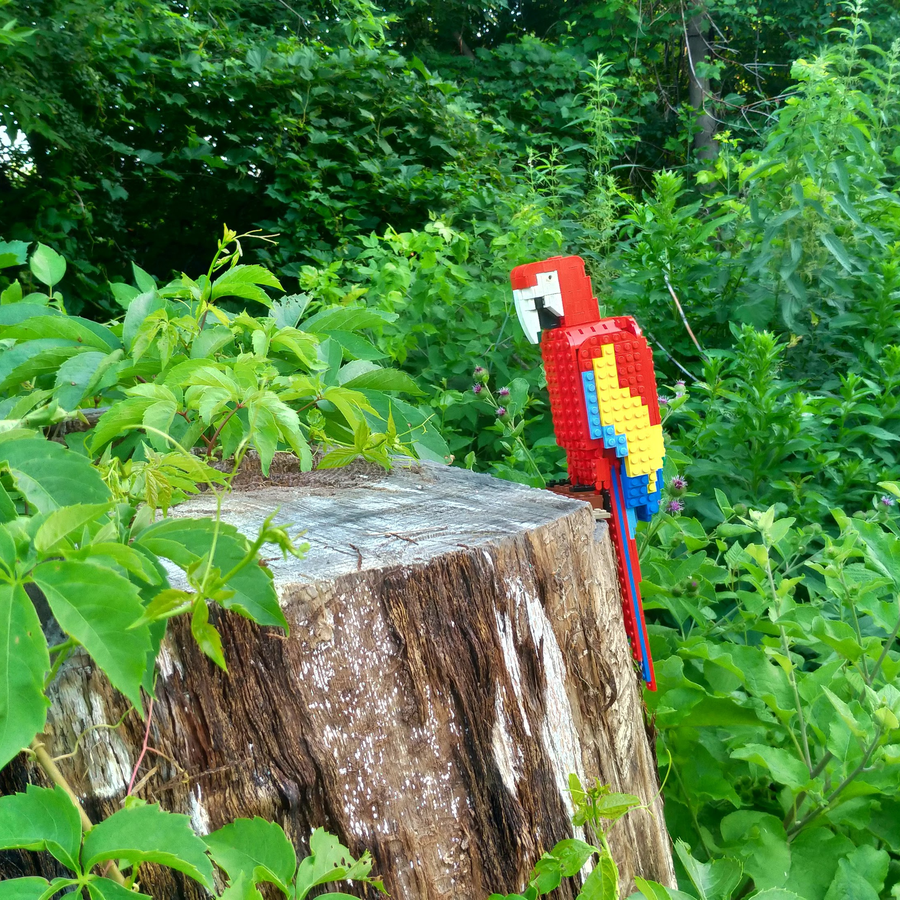 LEGO IDEAS - A Spring in your step! - Parrot Perch