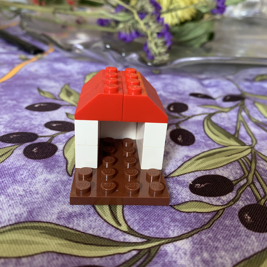 LEGO IDEAS - A mystery to us all... - Guess the build! (1)