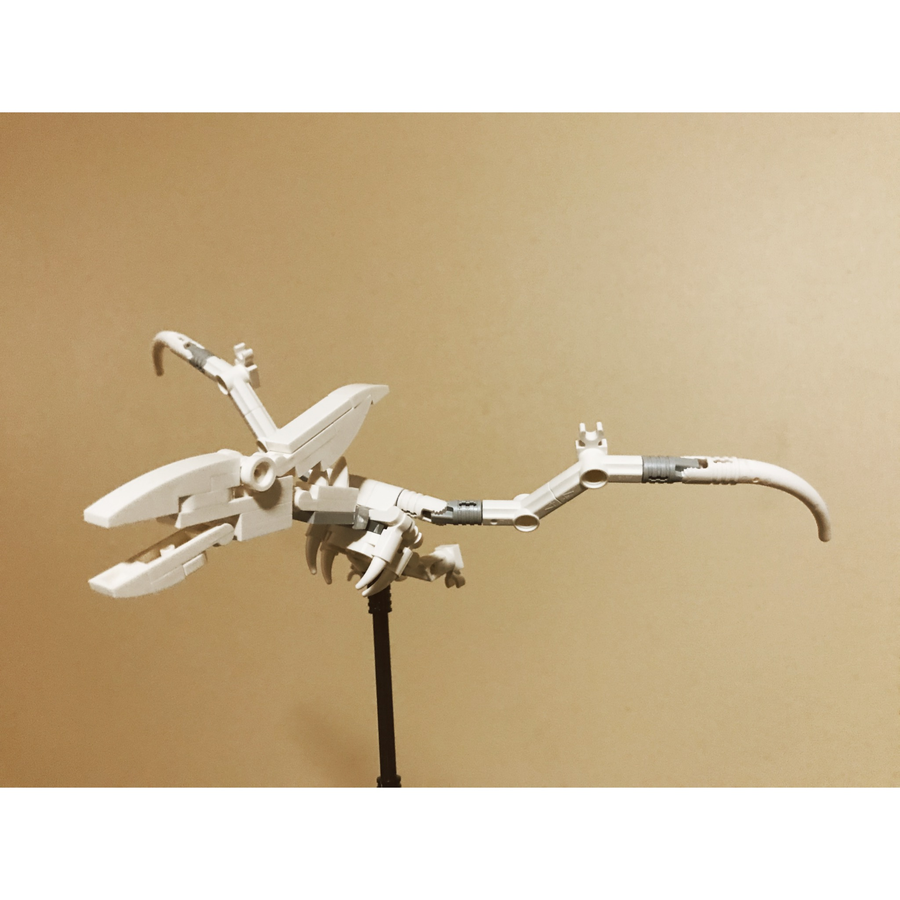 LEGO IDEAS - Our Winged Friends! - My winged friend... from the past