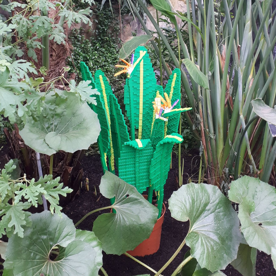 LEGO IDEAS - Separate and integrate! - Bird of Paradise Plant ...