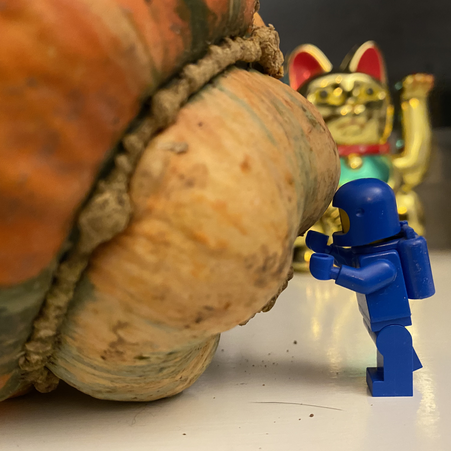 LEGO IDEAS - Active Minifigures - Pumpkin Pushing