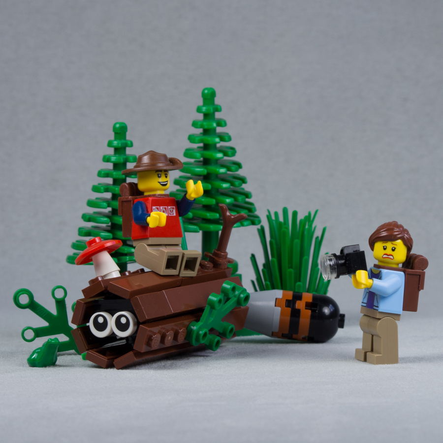 LEGO IDEAS - Get back to nature - Always Check Your Logs