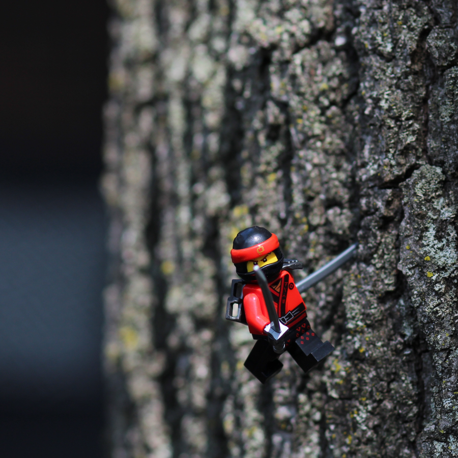 LEGO IDEAS - Give it your best shot! - tree climbing!