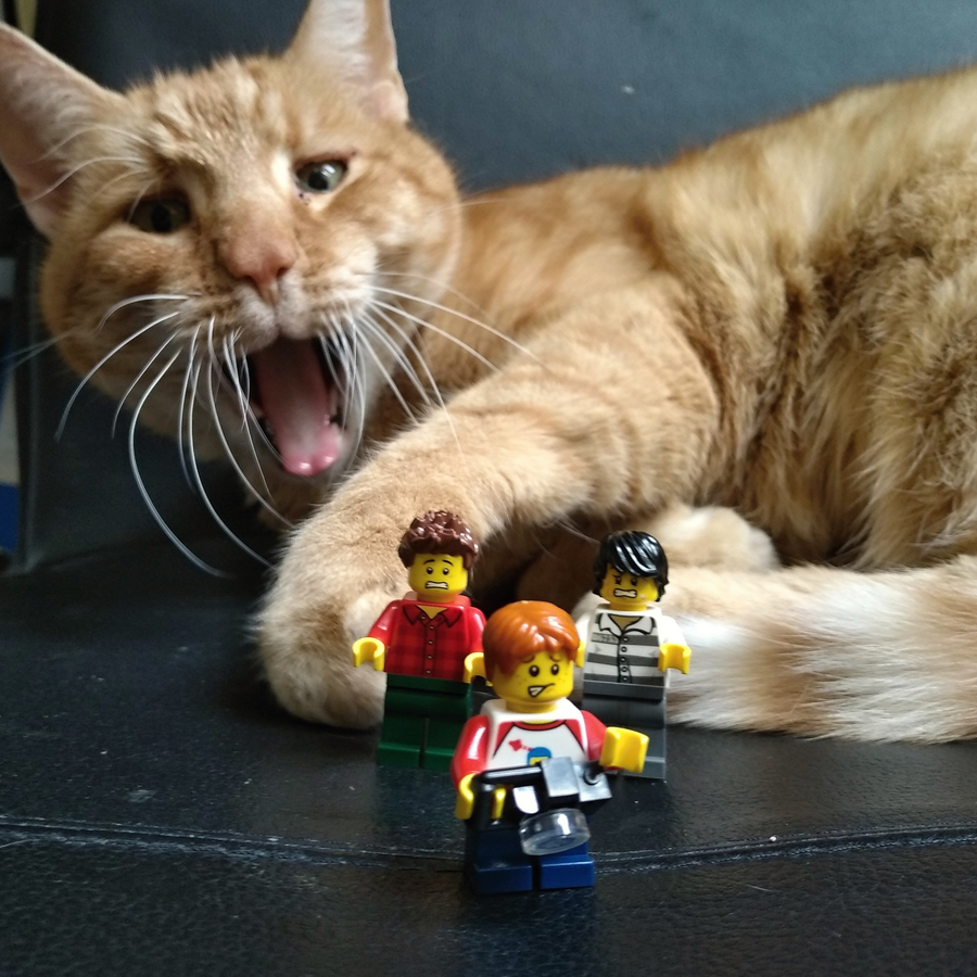 LEGO IDEAS - Scary Photography - The Cat