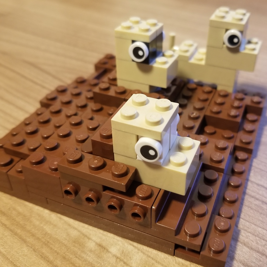 LEGO IDEAS - LEGO Build Day! - Meerkat