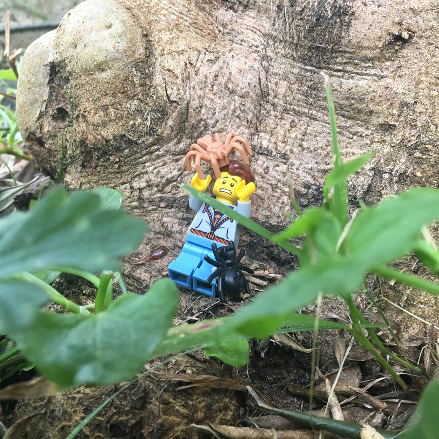 LEGO IDEAS - Scary Photography - Aaah!!!