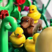 Garden Paradise | LEGO® Ideas