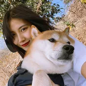 Morocco Buyers Shop | LEGO® Ideas