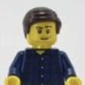 LEGO IDEAS - Elvis Presley Show