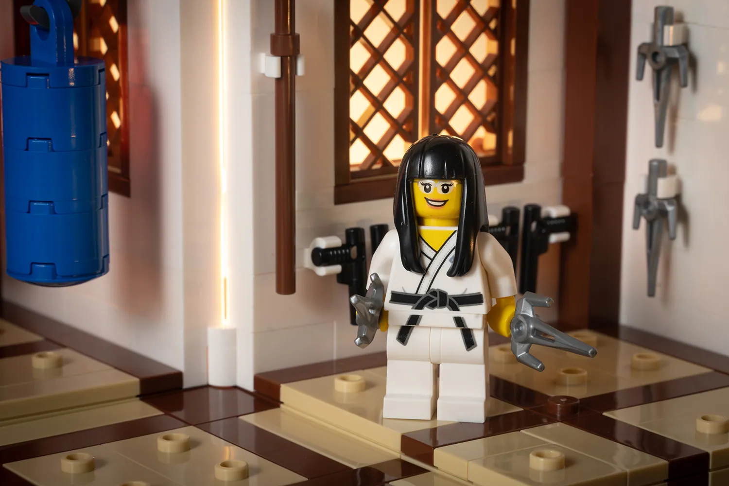 Tranquility Martial Arts Academy | LEGO® Ideas