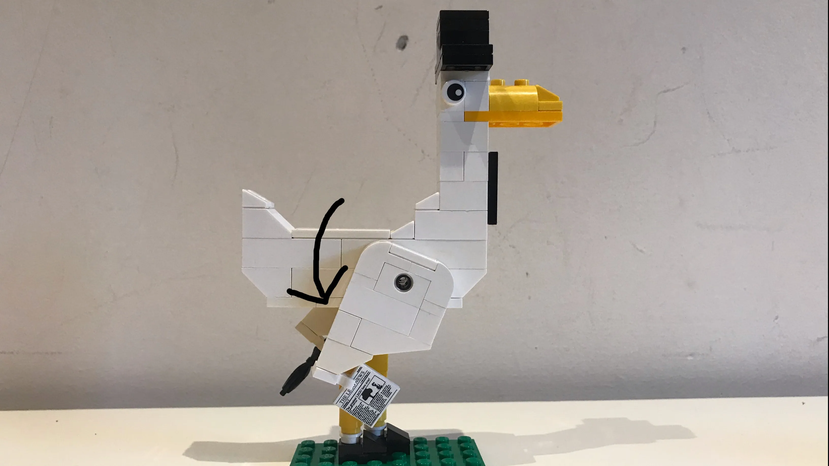Nature: Sammy the Sophisticated Seagull | LEGO® Ideas