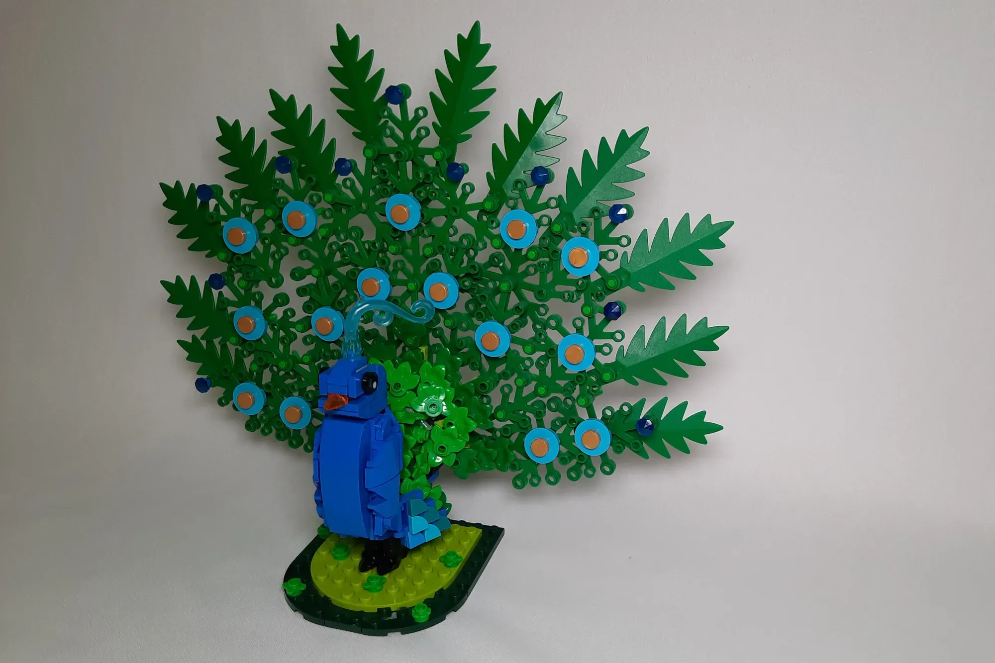 Peacock | LEGO® Ideas