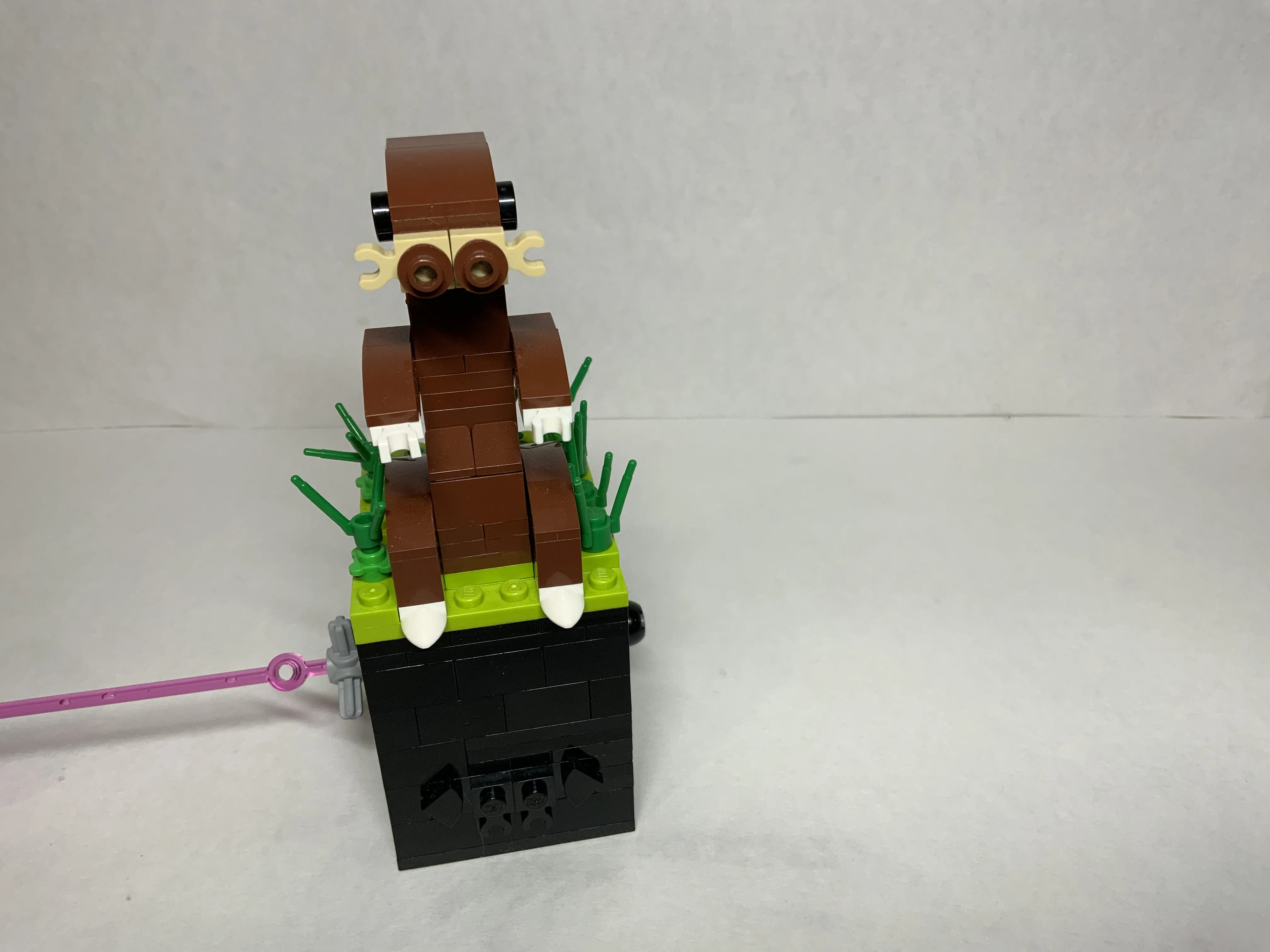 Star Nosed Mole | LEGO® Ideas