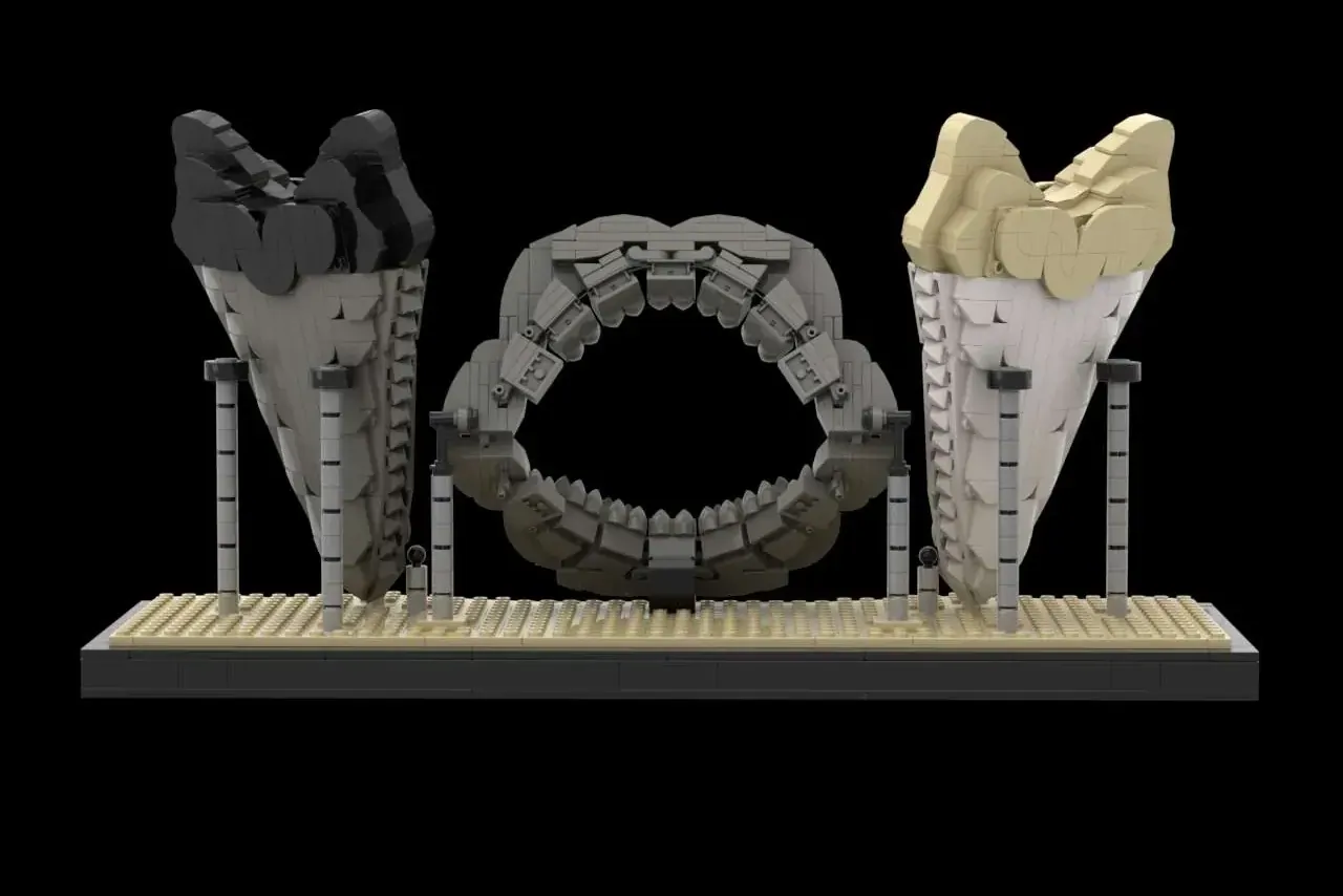 Megalodon Tooth Display | LEGO® Ideas