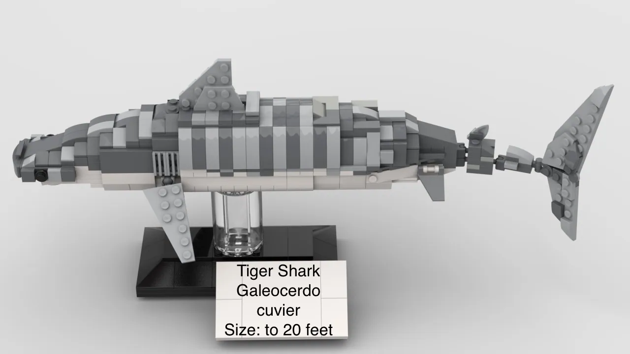 Sharks of the World | LEGO® Ideas